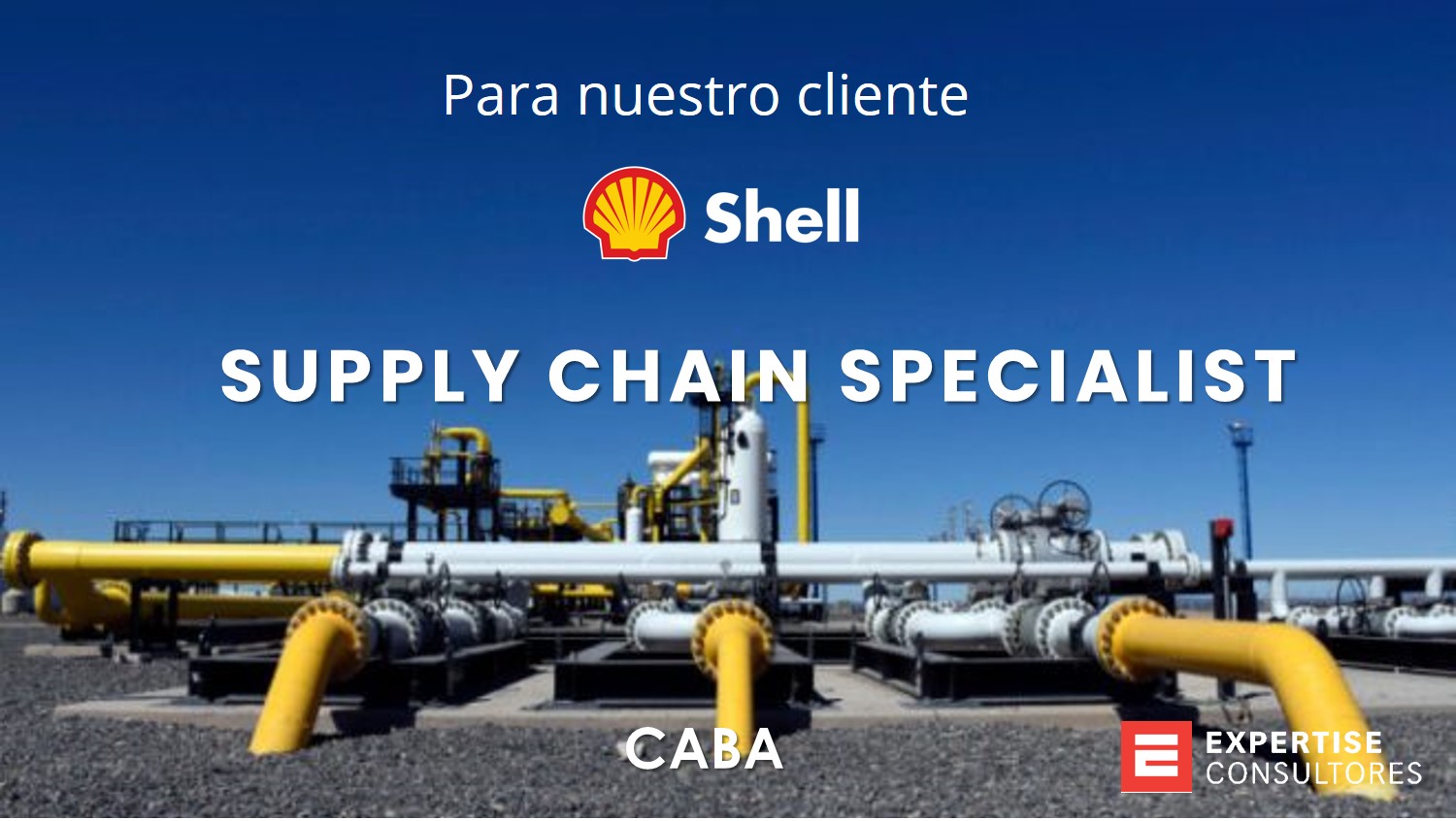 Expertise Consultores
